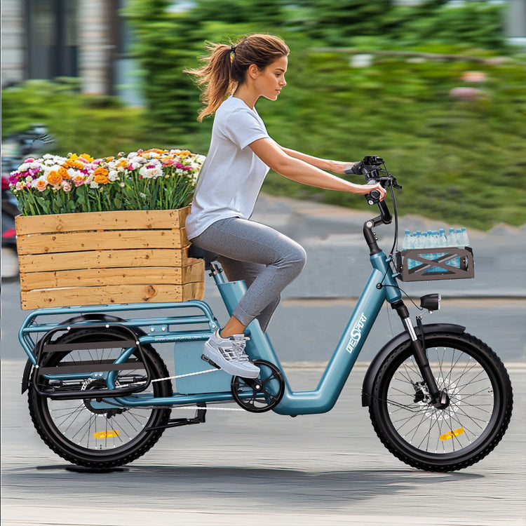 ONESPORT OT01: The Best Cargo Ebike for Sale, Ideal for Heavy Loads